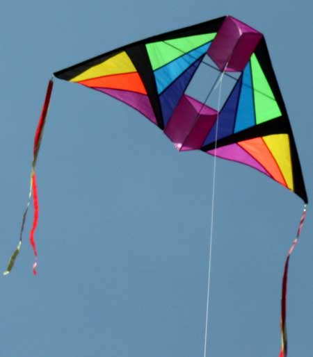 Cell Delta kite - Leading Edge Kites Large kite for kids & adults