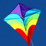 Bird Kite - Leading Edge Kites - Bird shaped single string kids kite