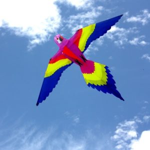 Bird Kite - Leading Edge Kites - Bird shaped single string kids kite