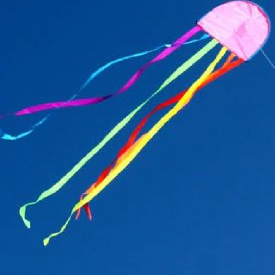 Childrens Kites - Leading Edge Kites - Great kites for kids